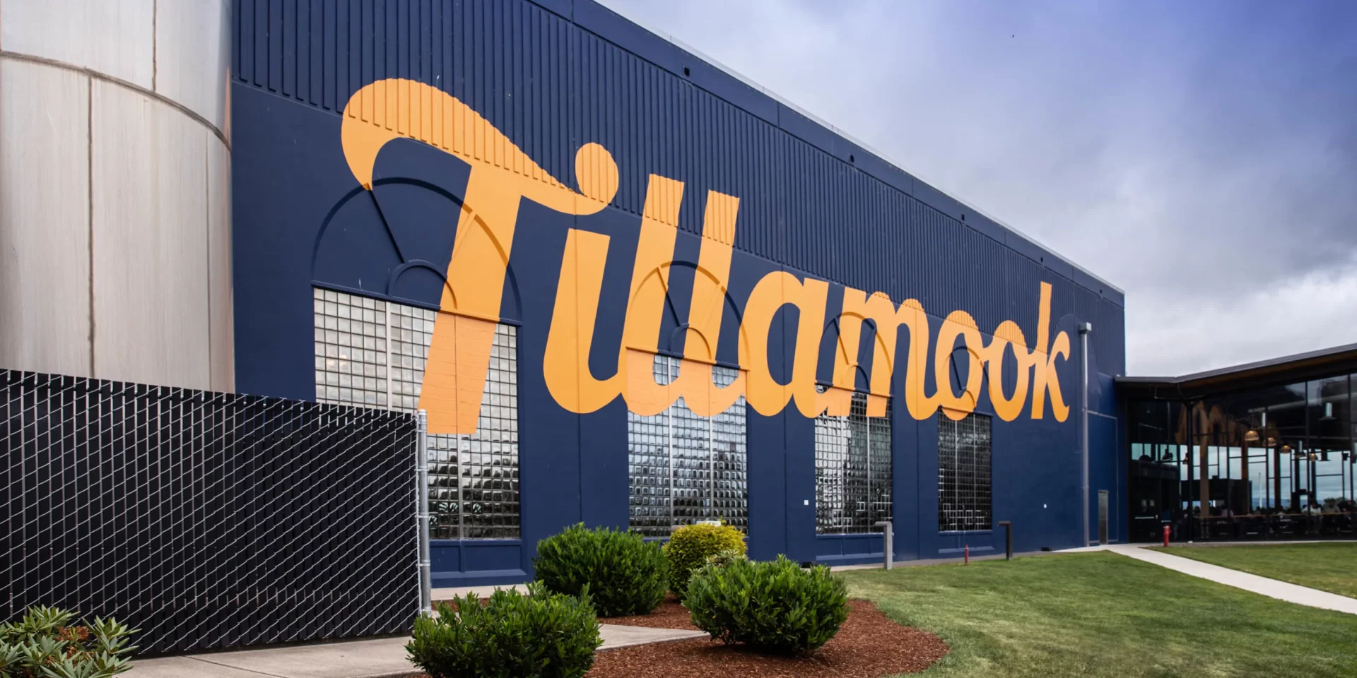 Tillamook Brand Design, Packaging, & Website Work - Murmur Creative