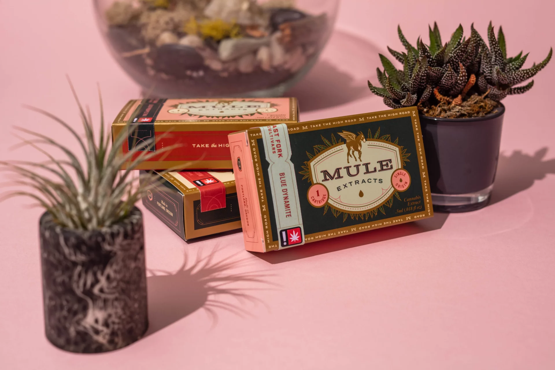 Mule Extracts Brand Design & Packaging Case Study | Murmur Creative