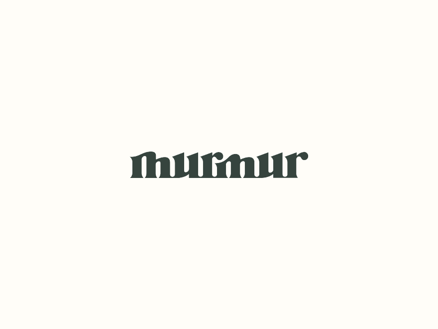 An Amazing Guide - Murmur Creative